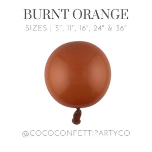Burnt Orange Premium Latex Balloons, MATTE, Individual Balloons for ...
