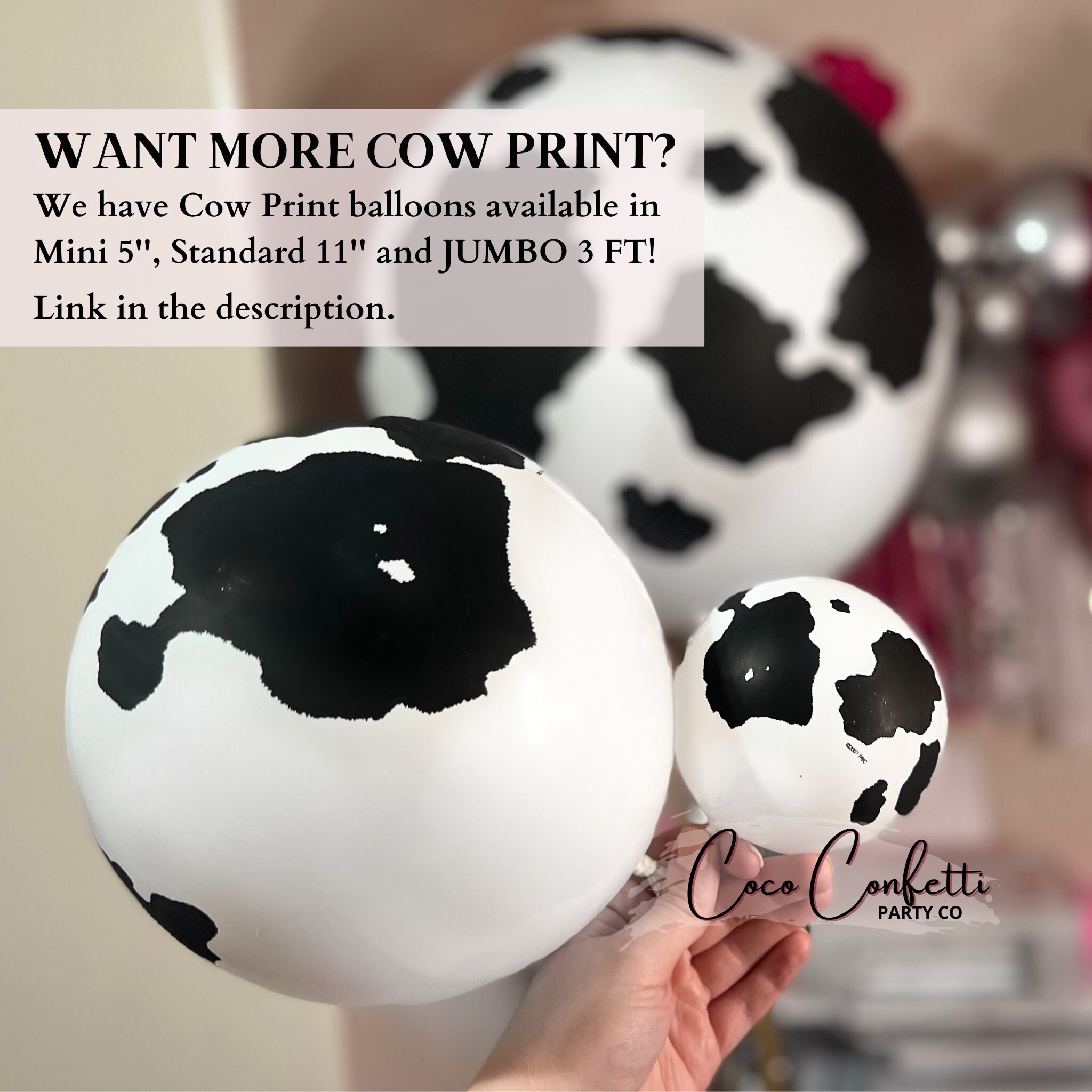 My First Rodeo Balloon Arch Western Theme First Birthday - Etsy