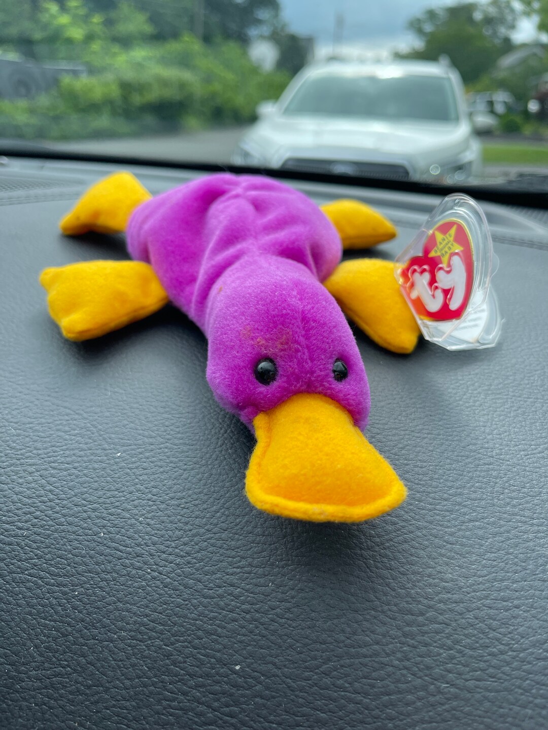 Patti the Platypus TY Beanie Baby, 1993 Edition, Magenta, New Condition ...