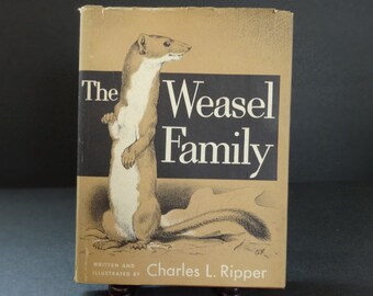 The Weasel Family - Etsy