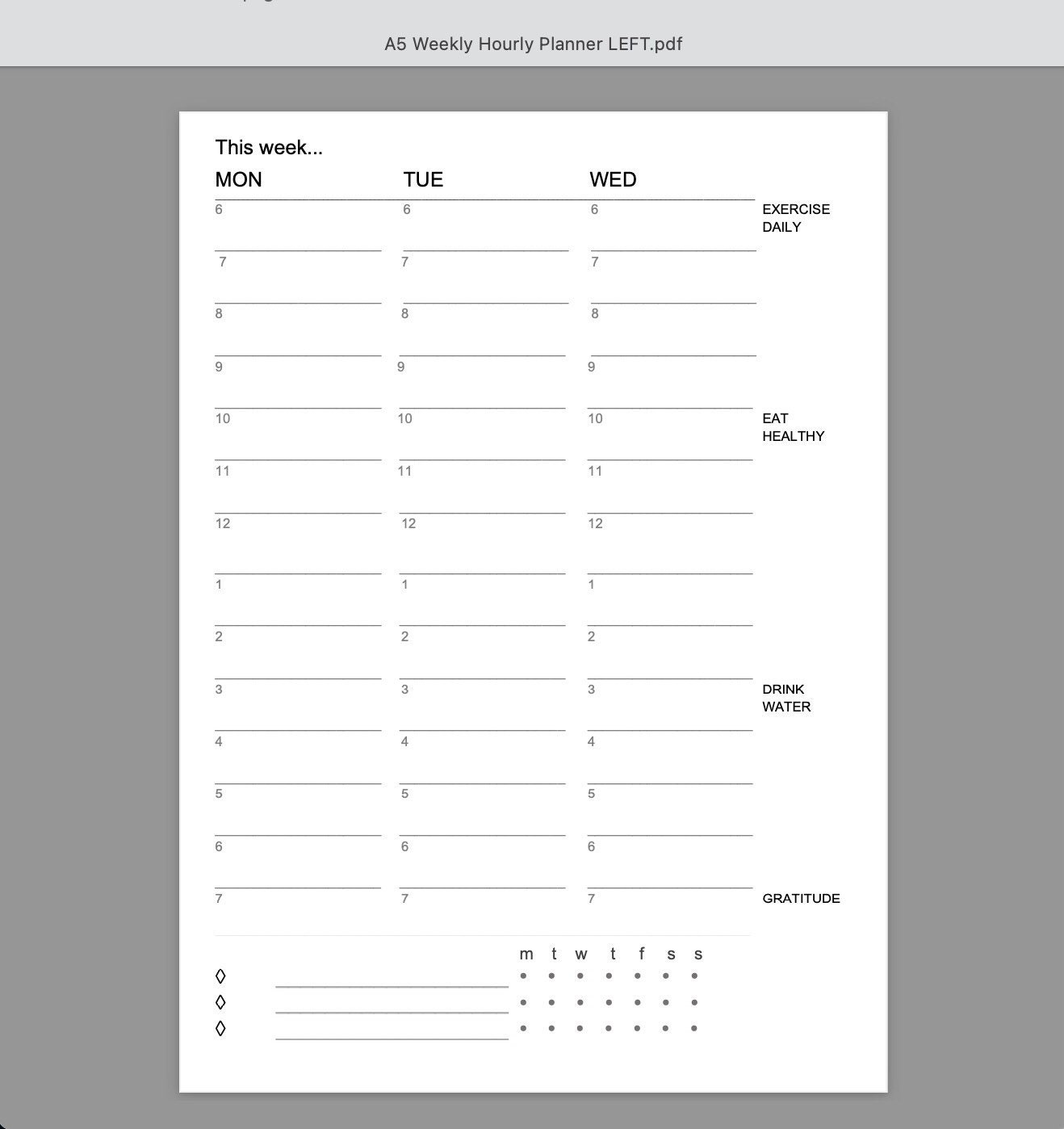 A5 WEEKLY HOURLY Planner Sheets * Printable PDF * Double Page Spread ...