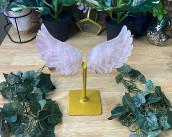 Wings With Stand - Etsy