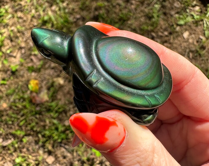 You Choose Flashy Rainbow Obsidian Turtles, Crystal Turtle, Turtle ...