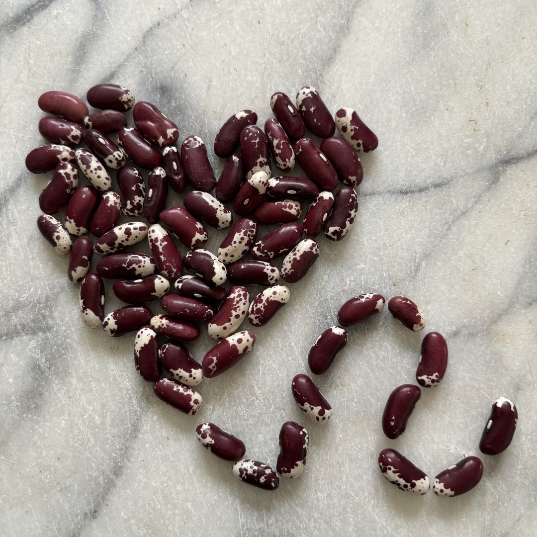 Jacob’s Cattle Bean - Old Fashion Baking Bean / Heirloom Vegetable ...