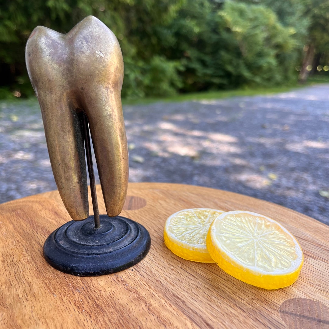 Large Rare Brass Tooth Sculpture on Display Stand, Brass Sculpture ...
