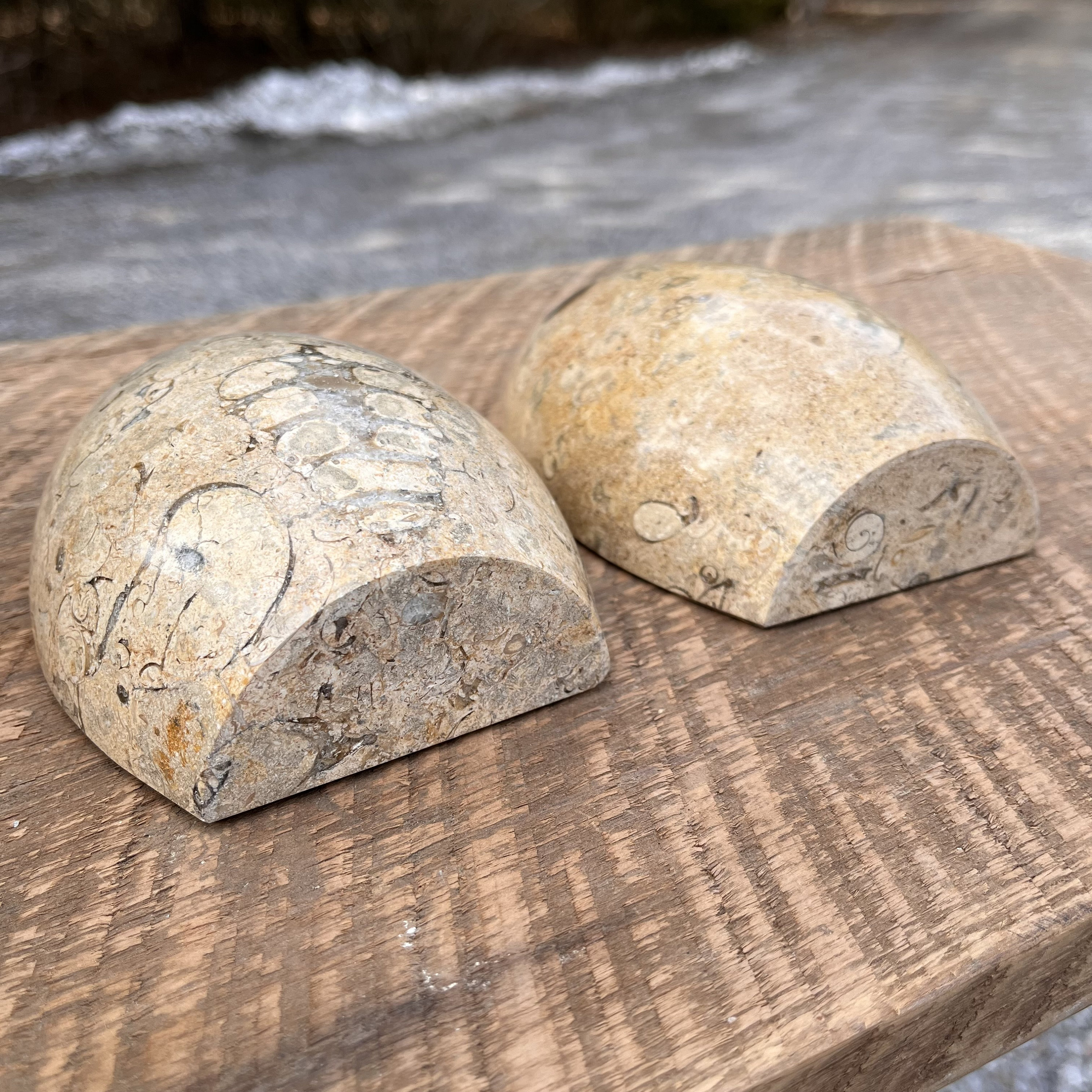 Pair of Polished Egg Shaped Fossil Stone Bookends, Office Decor, Shelf ...