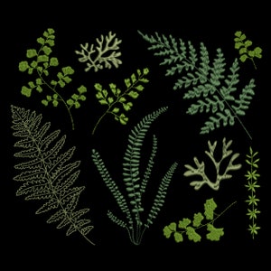 Forest Fern Machine Embroidery Design Bundle, 12 Ferns, Botanical ...