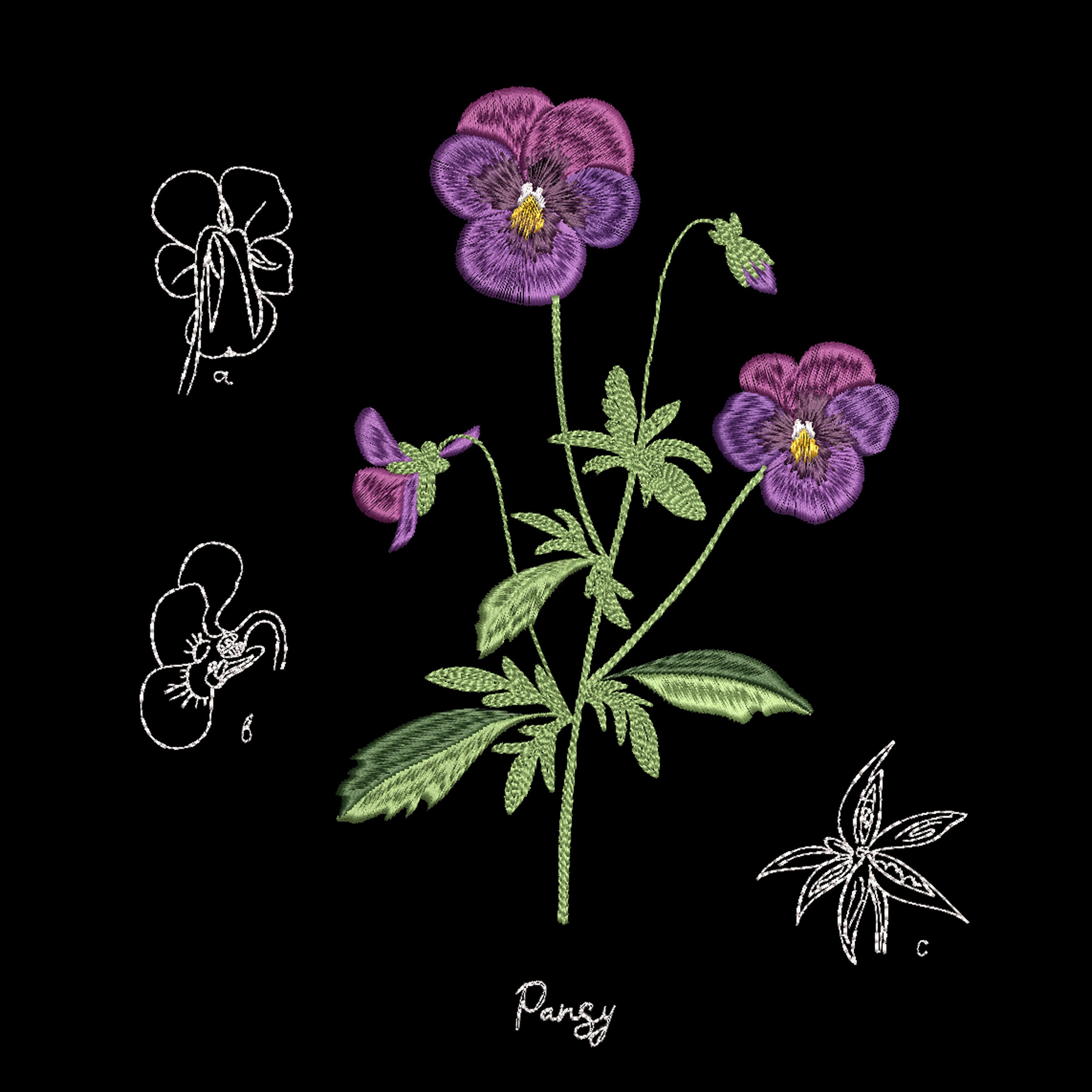Wildflowers Pansy Machine Embroidery Floral Meadow Flower Botanical ...