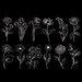 12 Birth Month Flowers Machine Embroidery Design Set, Flower Floral ...