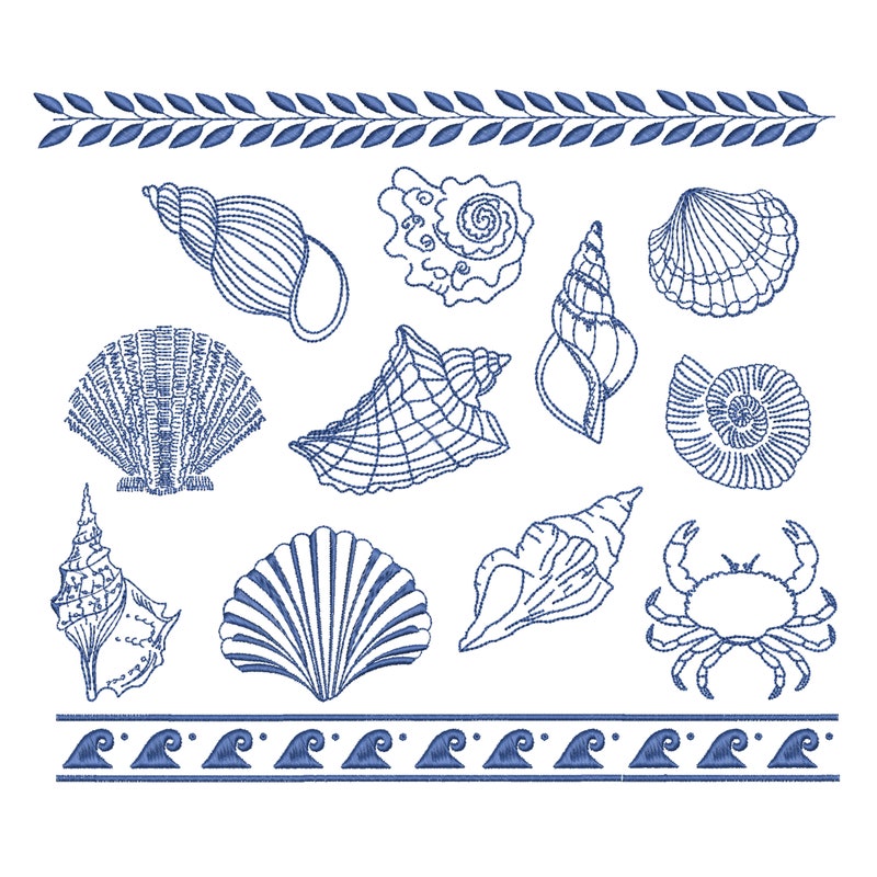 Seashell Border - Etsy