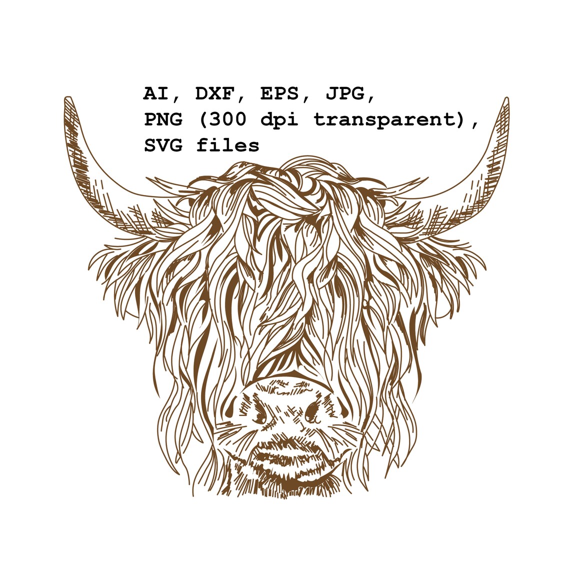Scottish Highland Cow SVG, Ai, Dxf, Eps, Jpg, Png Bull Heifer Farm ...