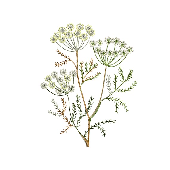 Yarrow Flower Machine Embroidery Wild Flowers Floral Botanical - Etsy