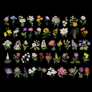 50 U.S. State Flowers Machine Embroidery Design, Flower Pattern Instant ...