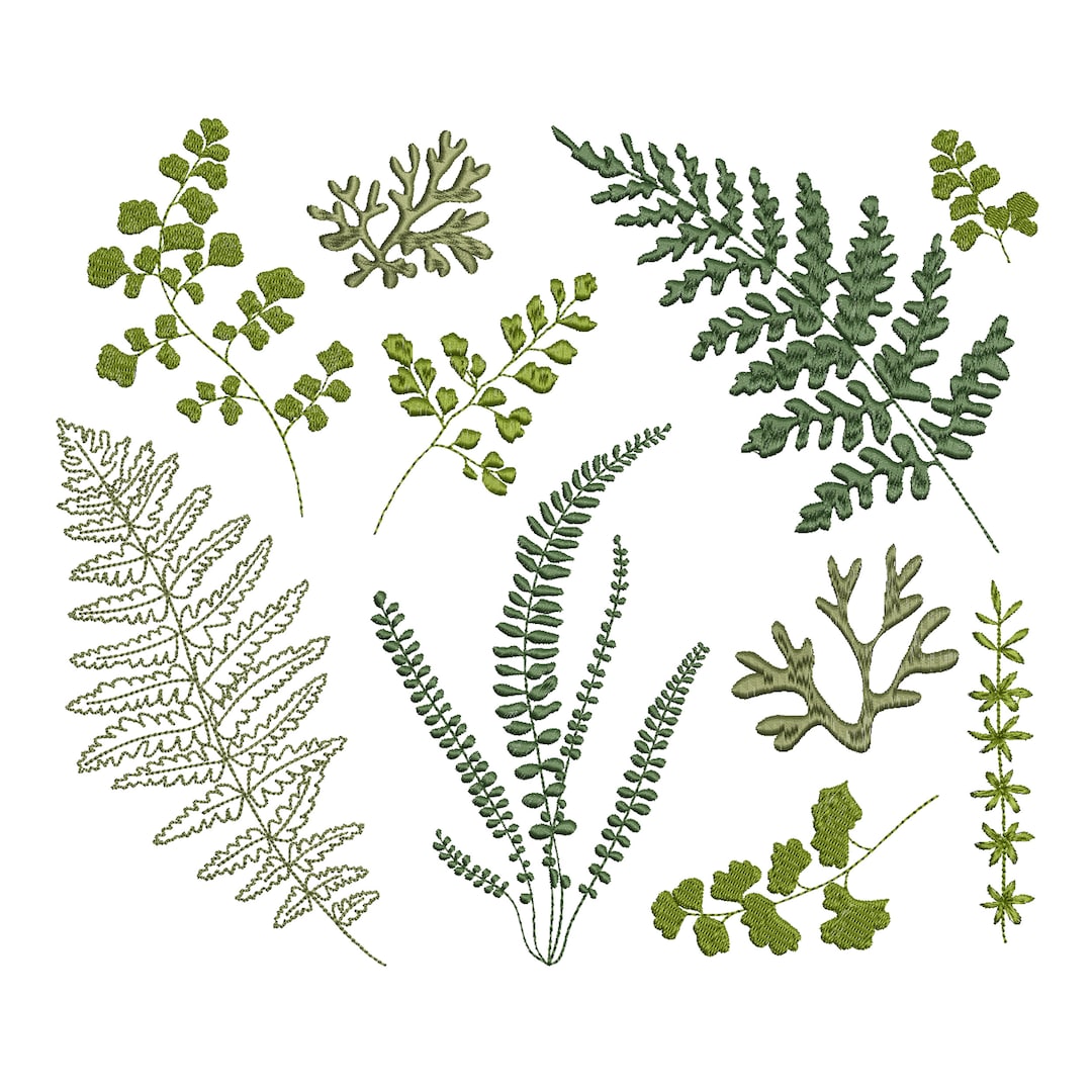 Forest Fern Machine Embroidery Design Bundle, 12 Ferns, Botanical ...