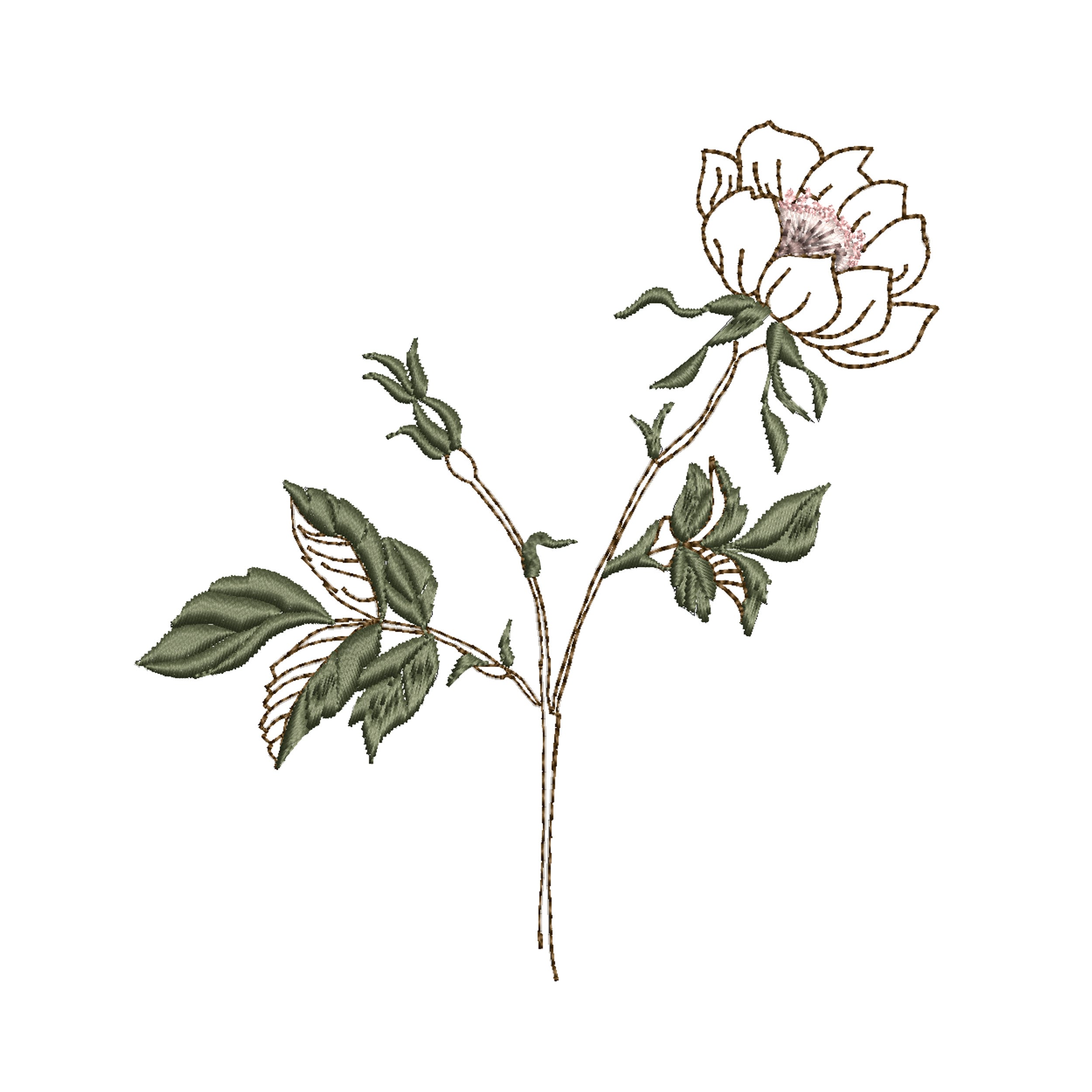 Rose Branch for Machine Embroidery Flower, Floral Botanical Roses ...