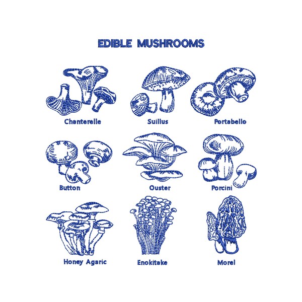 Pes File for Embroidery Mushroom - Etsy