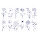 12 Birth Month Flowers Machine Embroidery Design Set, Flower Floral ...