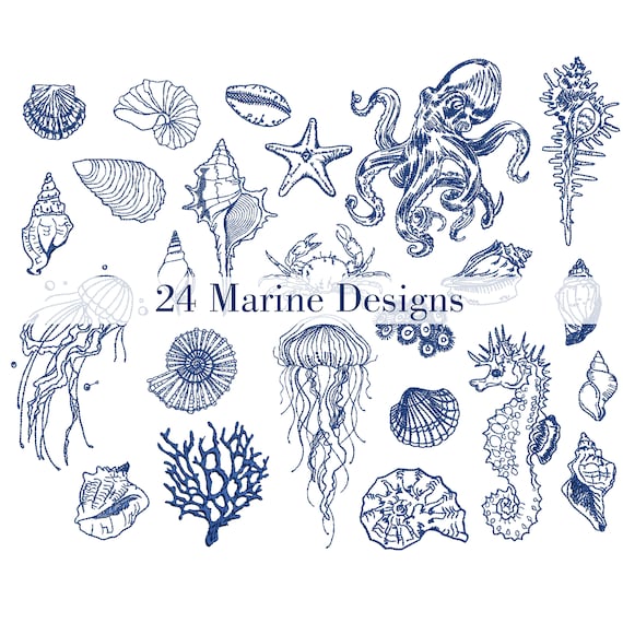 24 Marine Machine Embroidery Designs Bundle Sea Shell Sea - Etsy