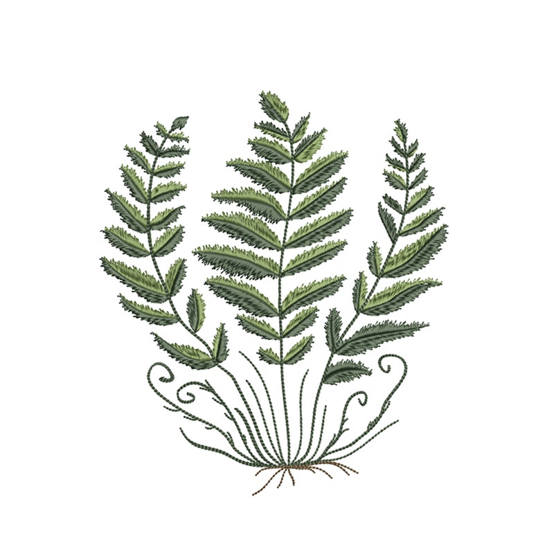 Fern Embroidery - Etsy