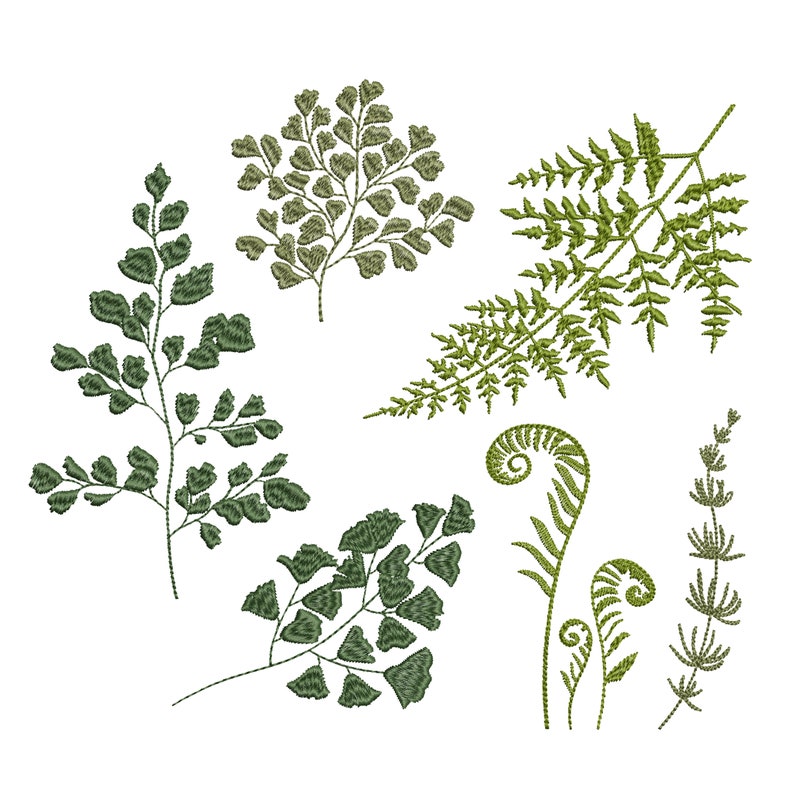 Fern Embroidery - Etsy