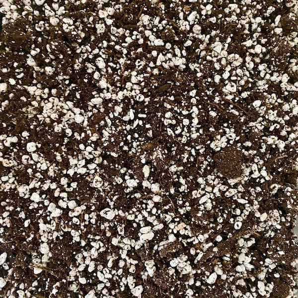 Cactus Potting Soil - Etsy Finland