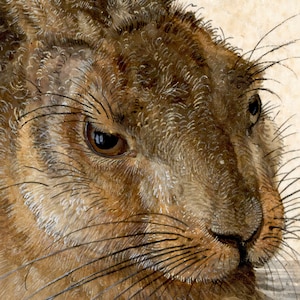 Young Hare by Albrecht Durer | Vintage Rabbit Painting | Neutral Animal ...