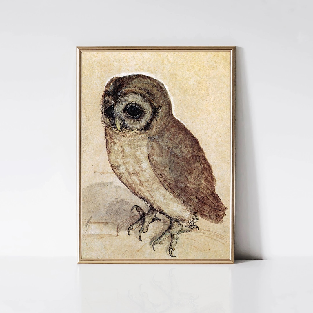 Little Owl, Albrecht Durer | Antique Bird Painting | Renaissance Animal ...