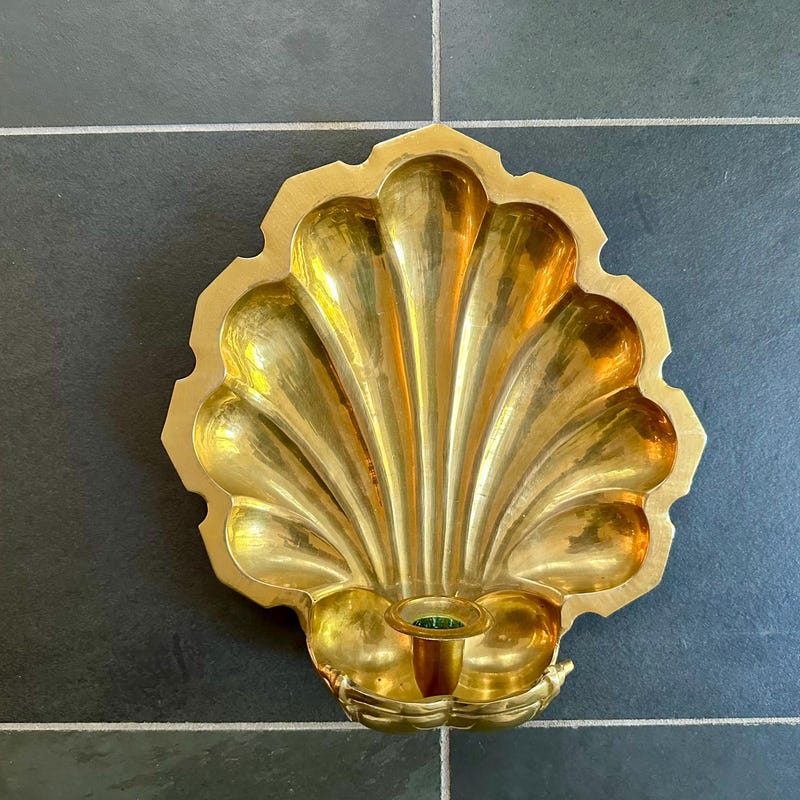 Shell Sconce - Etsy