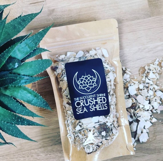 Crushed Shells For Plants