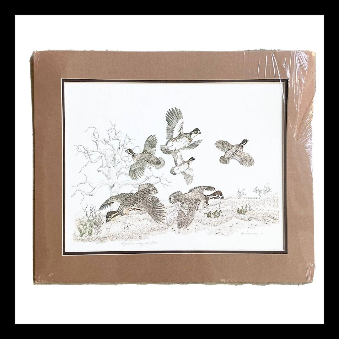 GENE MURRAY, “quails” Lithograph Signed 22”X18” Print, 1977 305/700 - Etsy