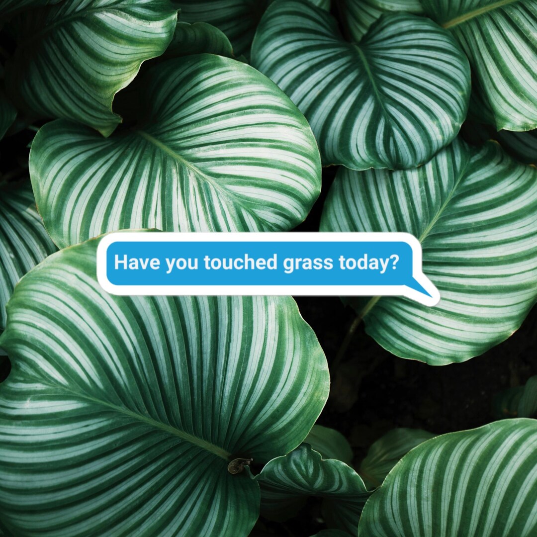 Touch Grass Die-cut Sticker - Etsy
