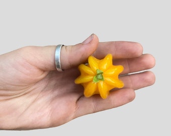 Pitangatuba Star Cherry, Eugenia Selloi, Rooted Plant Shipped in 3" Pot ...