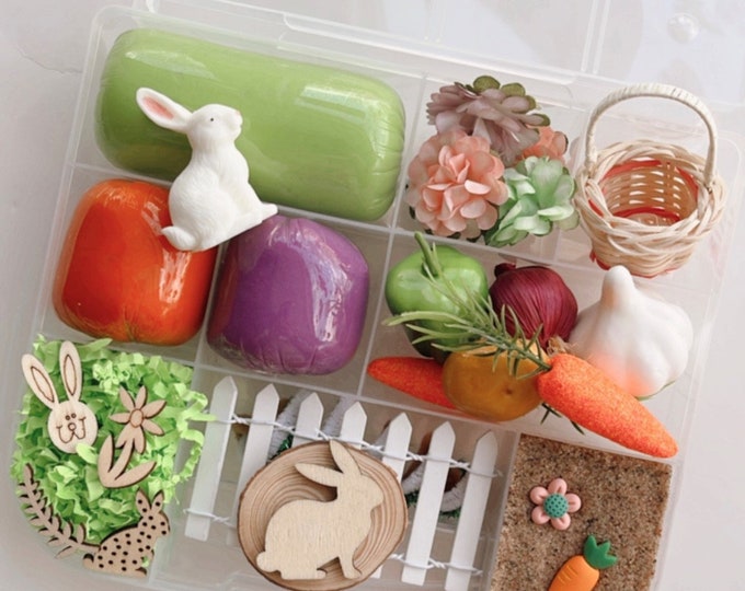 Bunny Garden Sensory Playdough Kit Playdoh Kit for Kids Rabbit Veggie ...