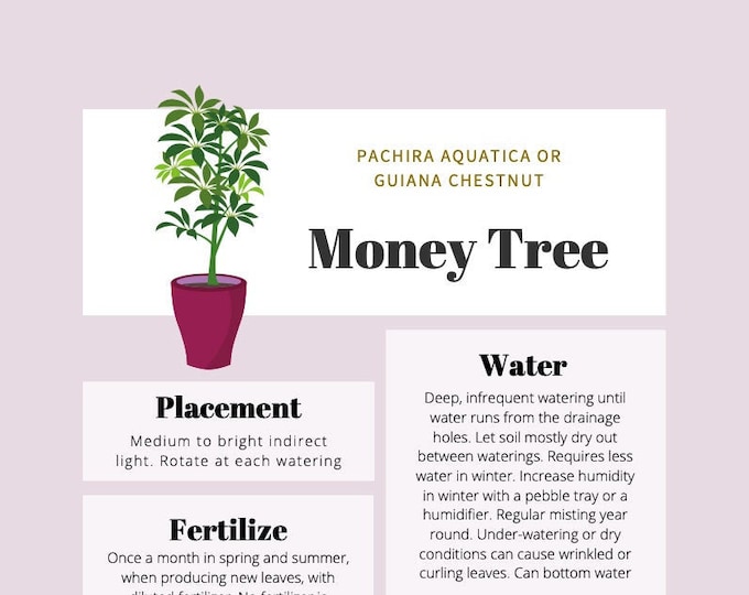 Money Tree Care Tips & Tracker - Etsy