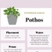Pothos Care Tips & Tracker - Etsy