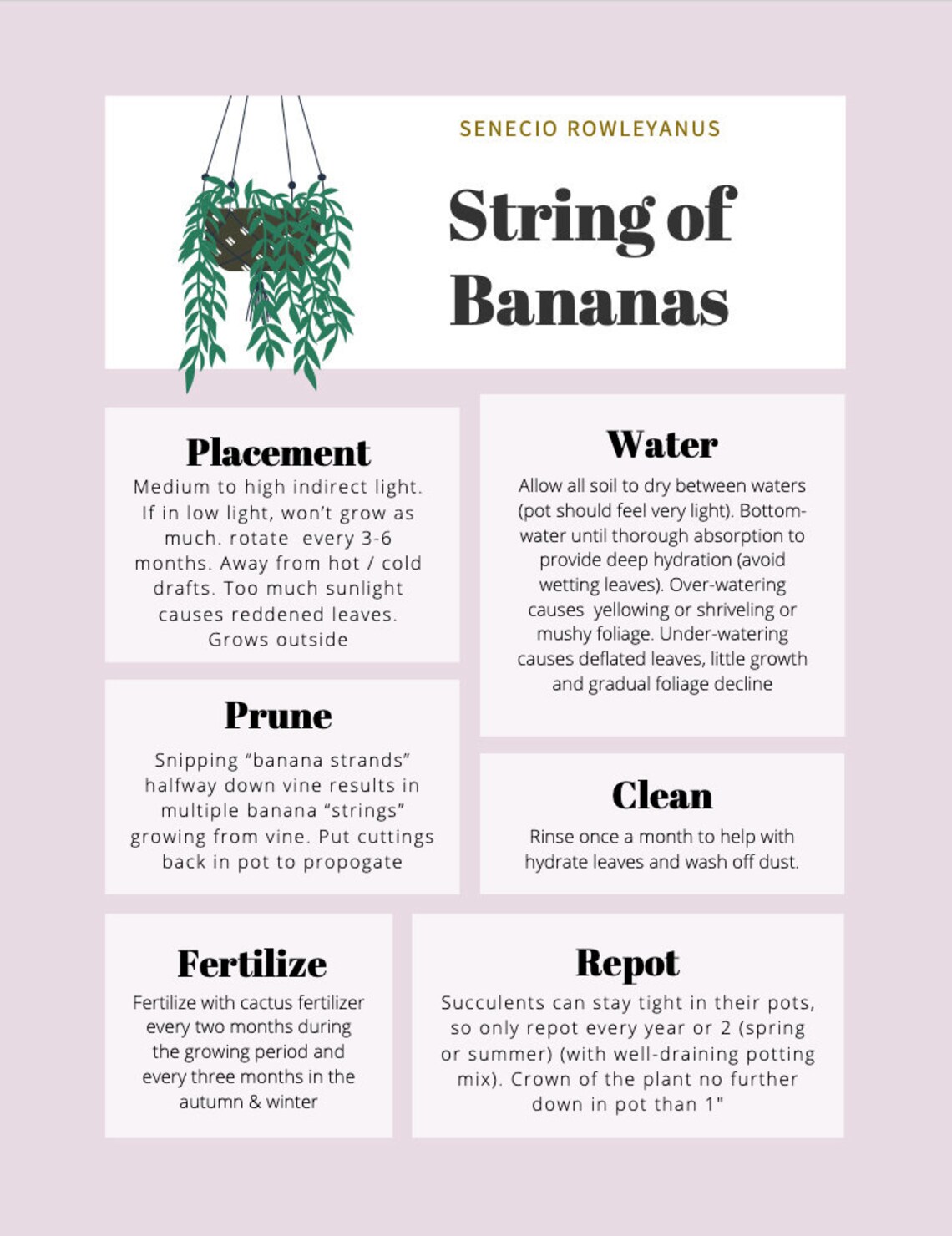String of Bananas Care Tips & Tracker - Etsy