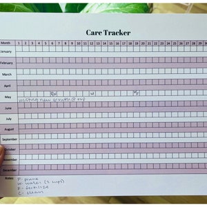 Pothos Care Tips & Tracker - Etsy