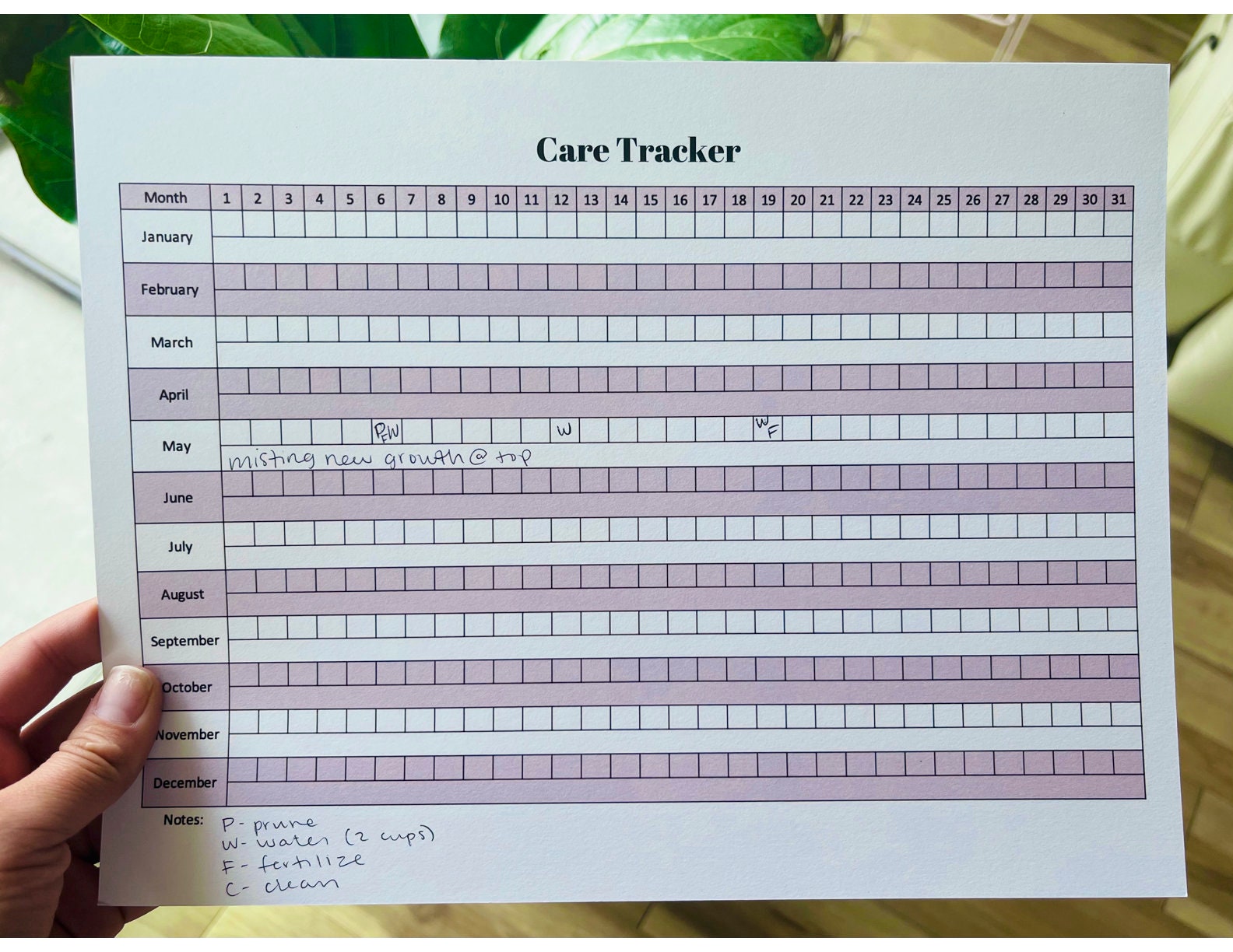 Money Tree Care Tips & Tracker - Etsy