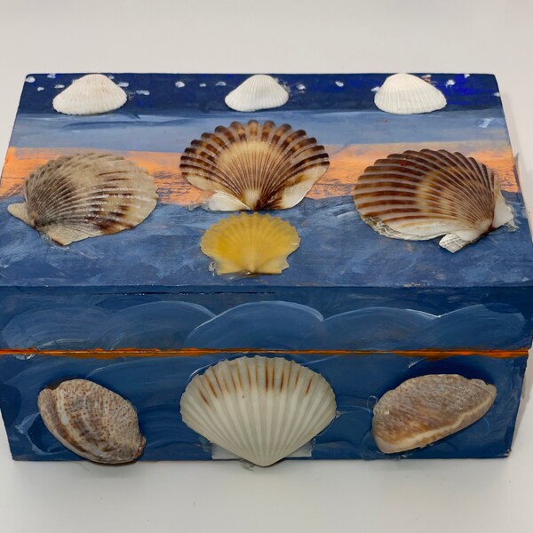 Cape Cod Shells - Etsy