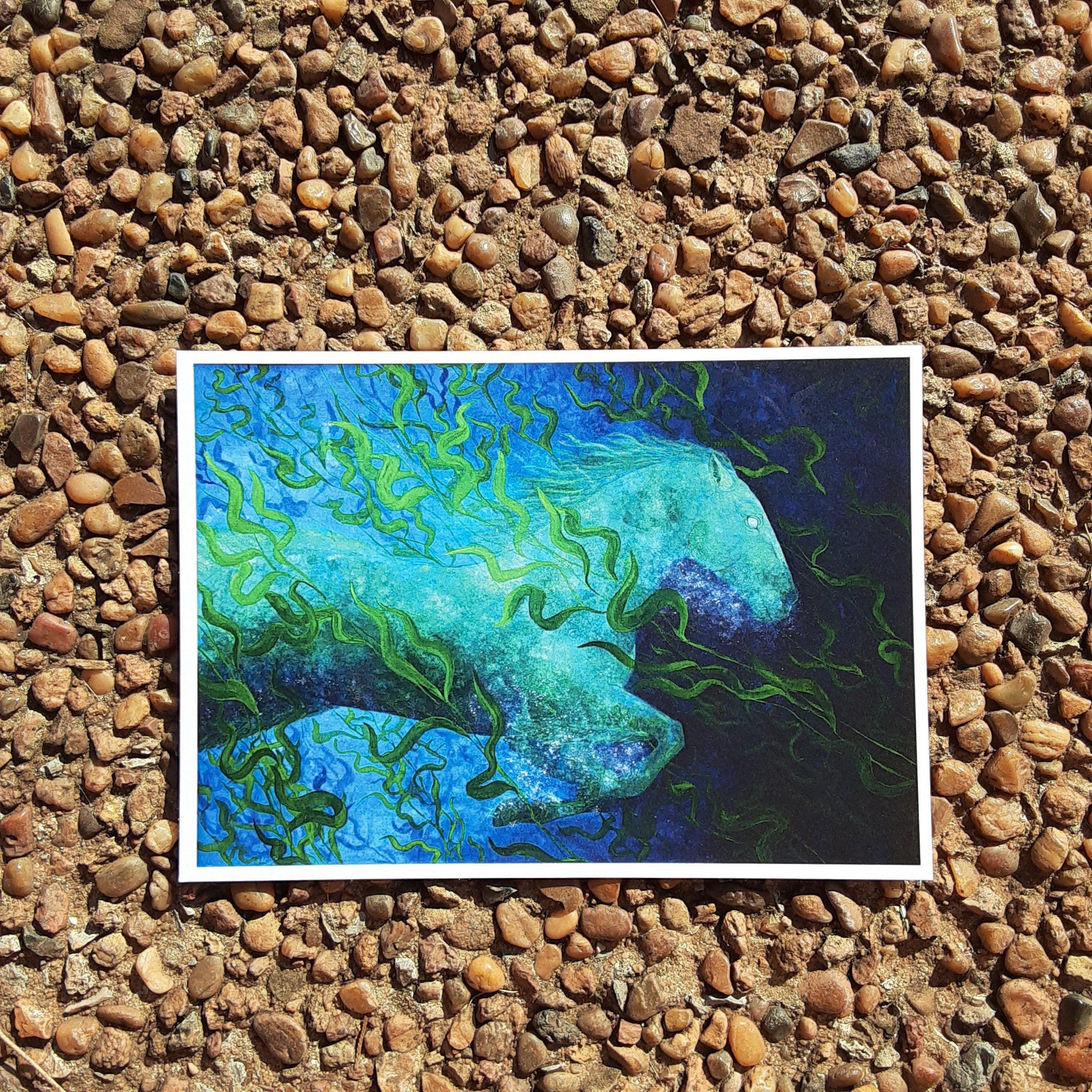 Element Cryptids Postcard Prints - Etsy