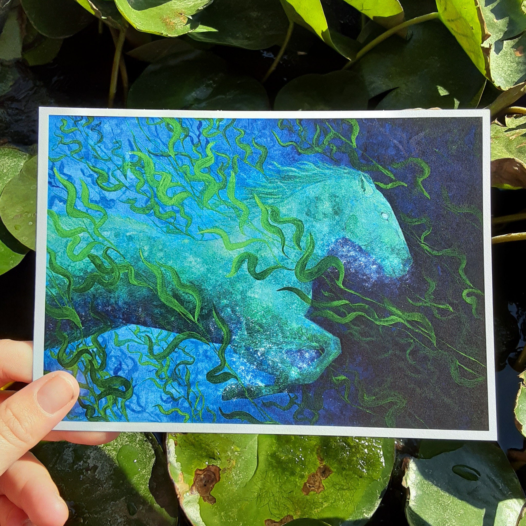 Element Cryptids Postcard Prints - Etsy