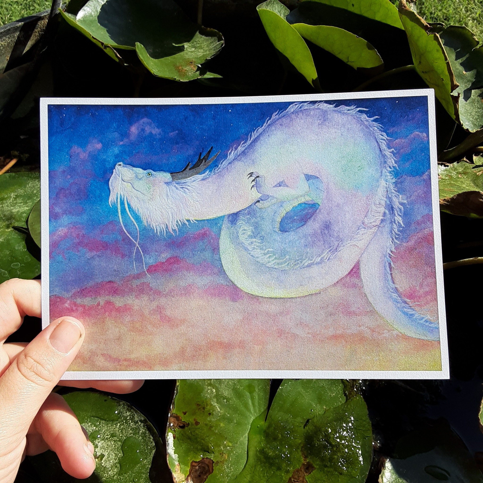 Element Cryptids Postcard Prints - Etsy