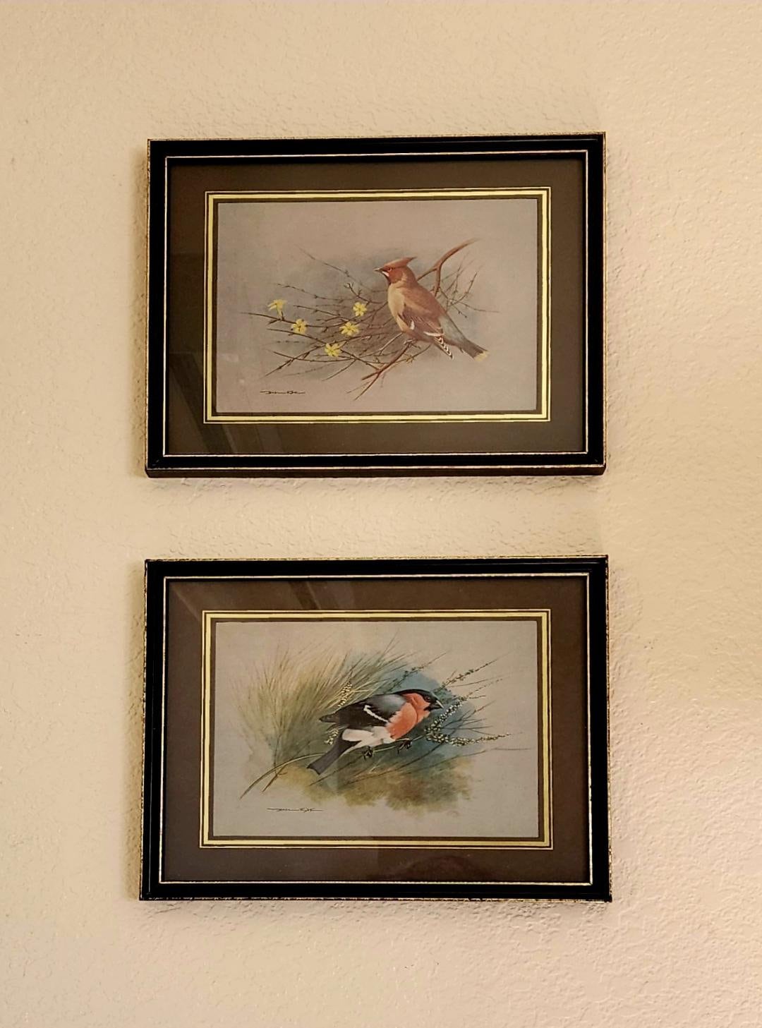 Vintage Basil Ede Framed Bird Prints - Etsy