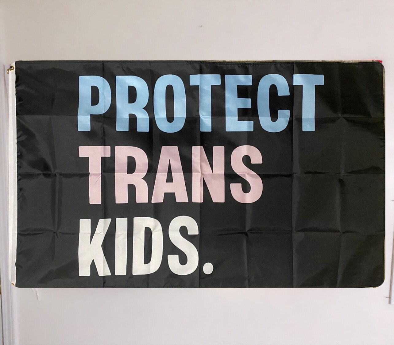 Protect Trans Kids Flag LGBTQ+ Pronouns Multiple Genders Pride Equality ...