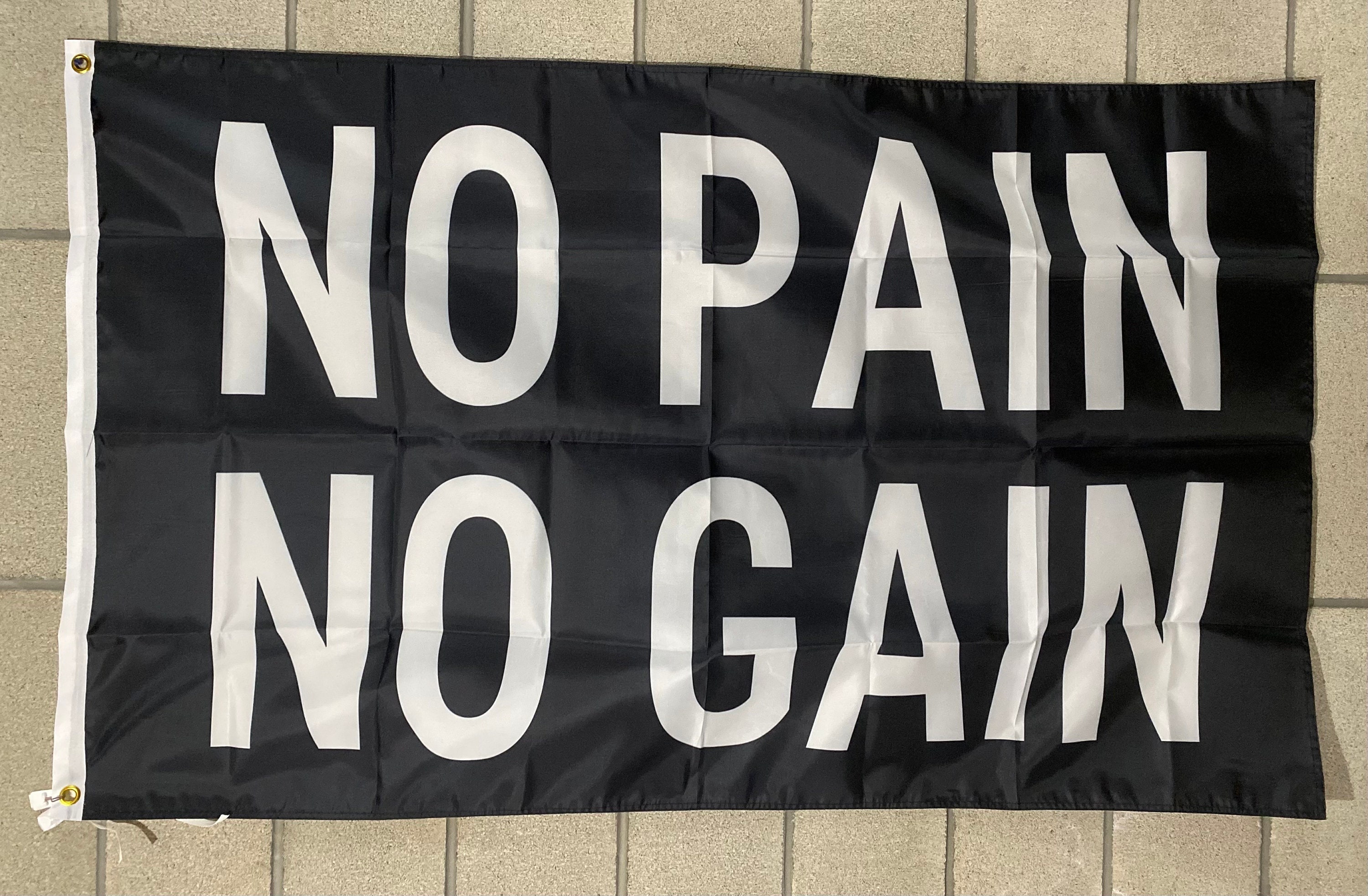 Motivation Flag FREE USA Ship No Pain No Gain Train Lift Gym Man Cave ...