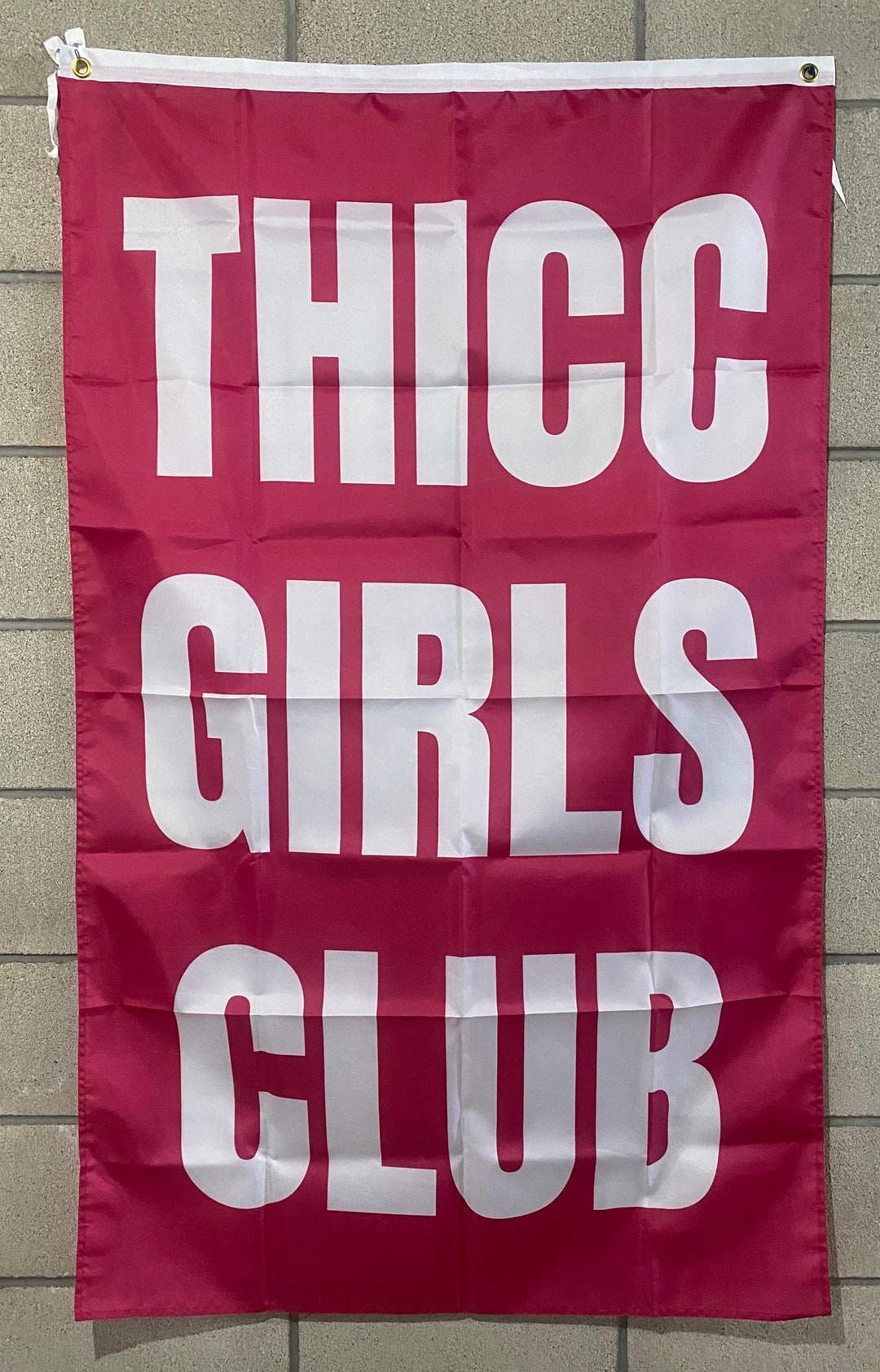 Thicc Girls Club Flag FREE USA Ship Pink Girl Power Work Out Motivation ...