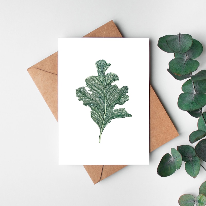 Illustrated Postcard - Etsy