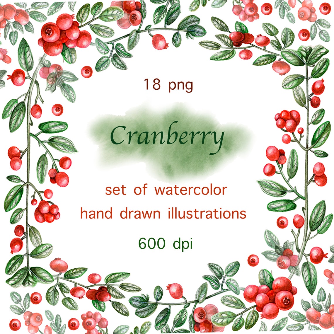 Watercolor Cranberry Set | Berries Clipart | Botanical Illustration ...