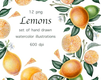 Watercolor Pink Lemonade Party Clip Art Lemonade and Lemons - Etsy