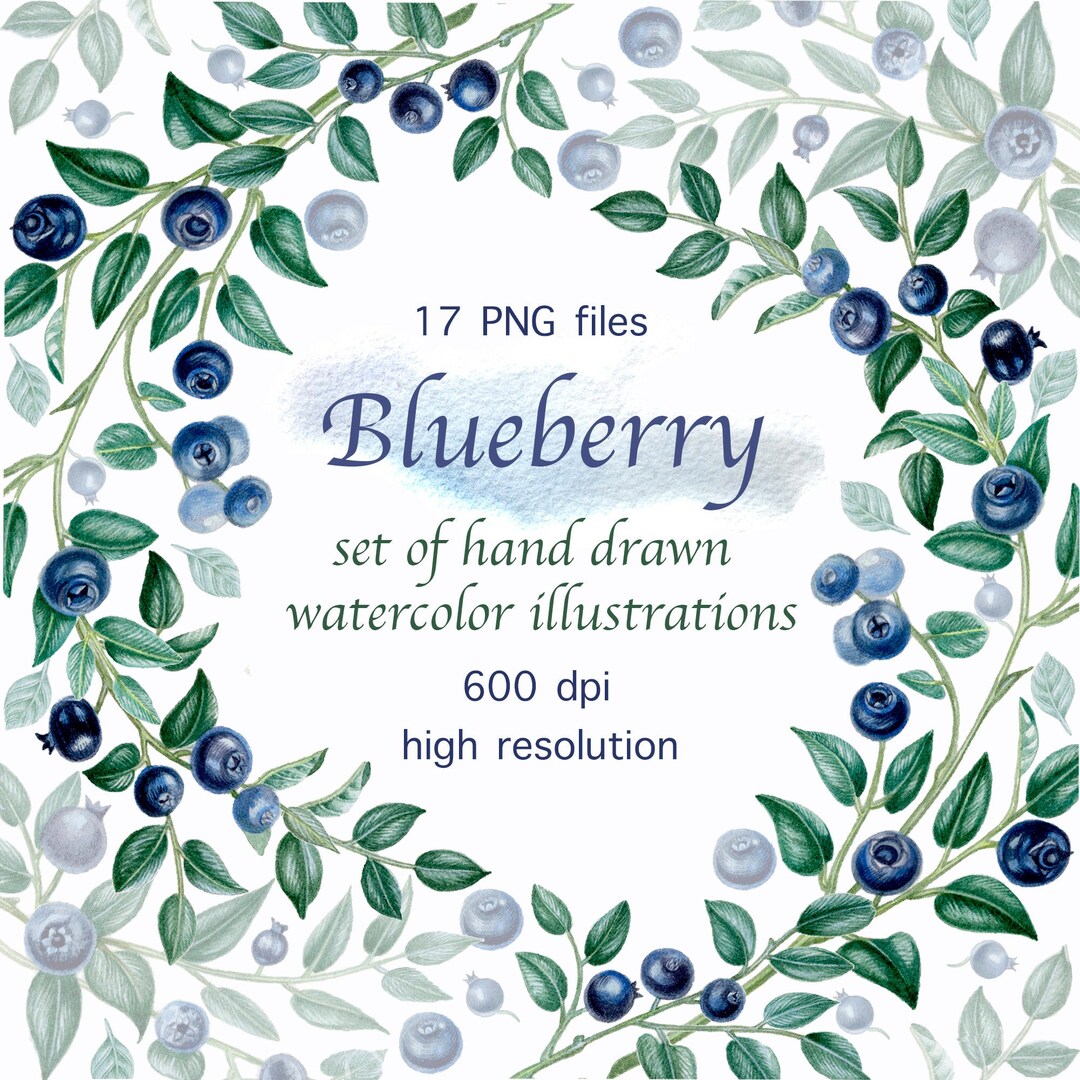 Watercolor Blueberry Set | Berries Clipart | Botanical and Food ...